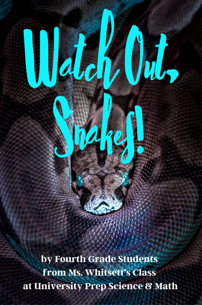 Watch Out, Snakes! by Fourth Grade Students from Ms. Whitsett’s Class ...